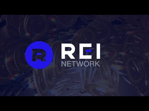 CANAL CRIPTOMOEDAS | PROJETO REI NETWORK | TOKEN REI #30 - YouTube