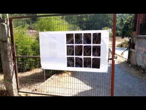 Kuzguncuk'ta dere sesi / Parçalı Yüzeyler Üzerinde