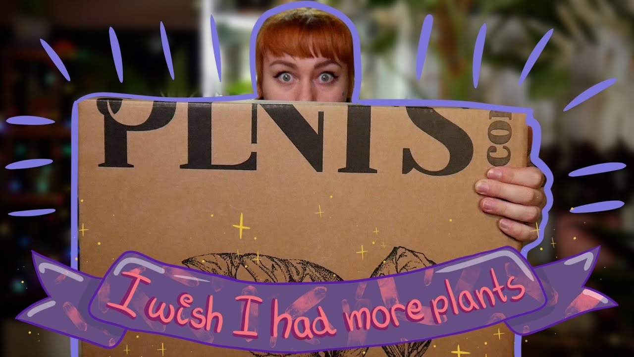 Unboxing PLNTS.com sustainability box! The rest of Black Friday Plant ...
