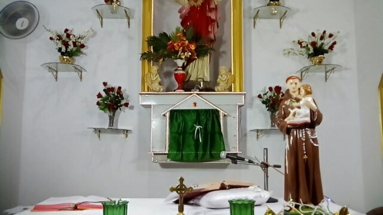 LIVE | Monday Evening Mass - YouTube