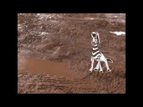 Khumba the zebra jump in the mud with black slippers
