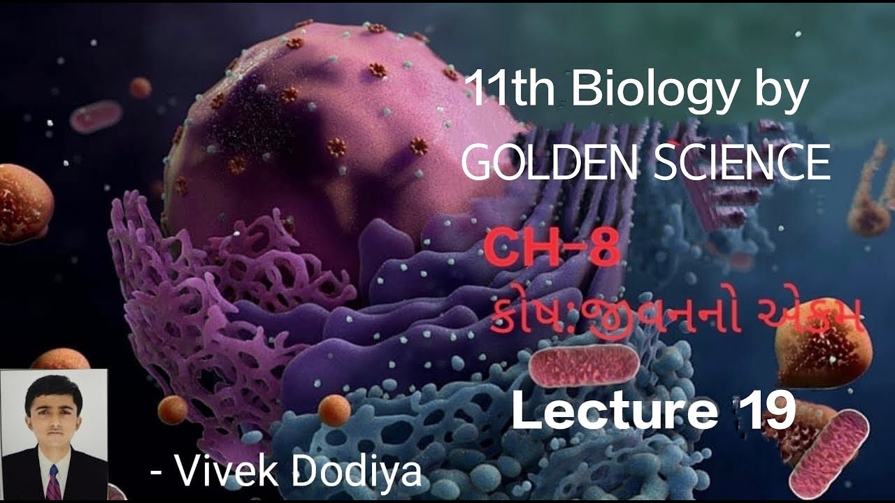 Std 11 12th Science|Biology|CH8 Cell|તારાકાય, તારા કેન્દ્ર,અને કોષ ...