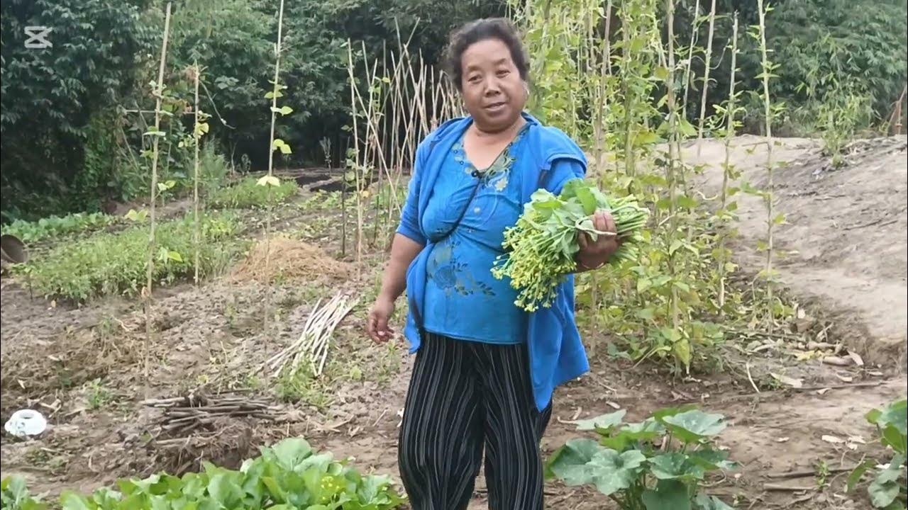 mus de zaub thiab saib zaub nawb - YouTube