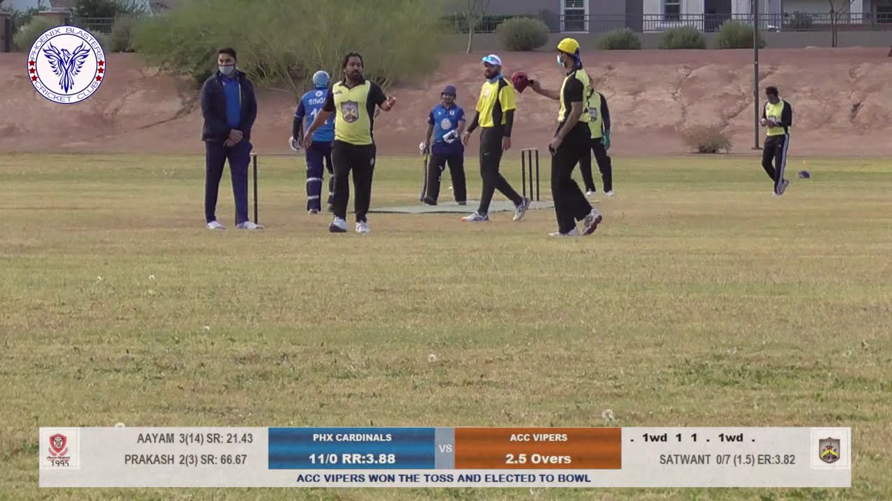 Vipers Vs Cardinals (T20 - 10/31/2020) - YouTube