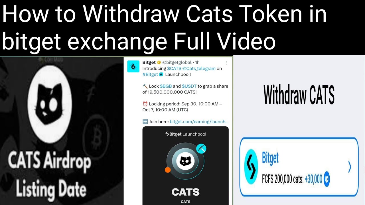 How to withdraw Cats Token || Cats Token Withdraw details|| Telegram ...