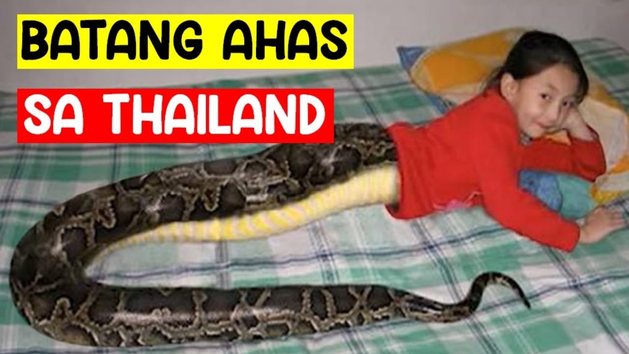 Ang Batang Babae na Ahas sa Bangkok Thailand / Kwento ng Thailand Snake ...