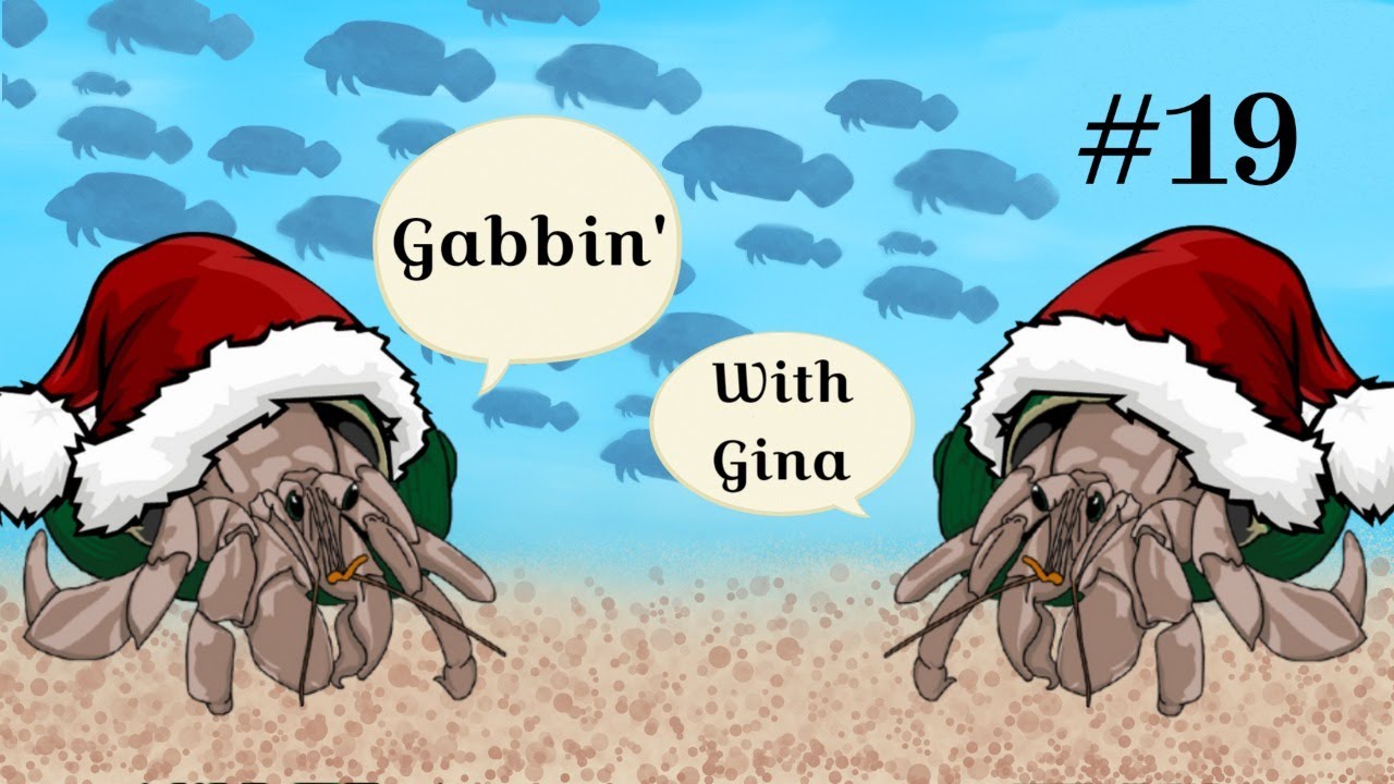 Gabbin' With Gina #19 - YouTube