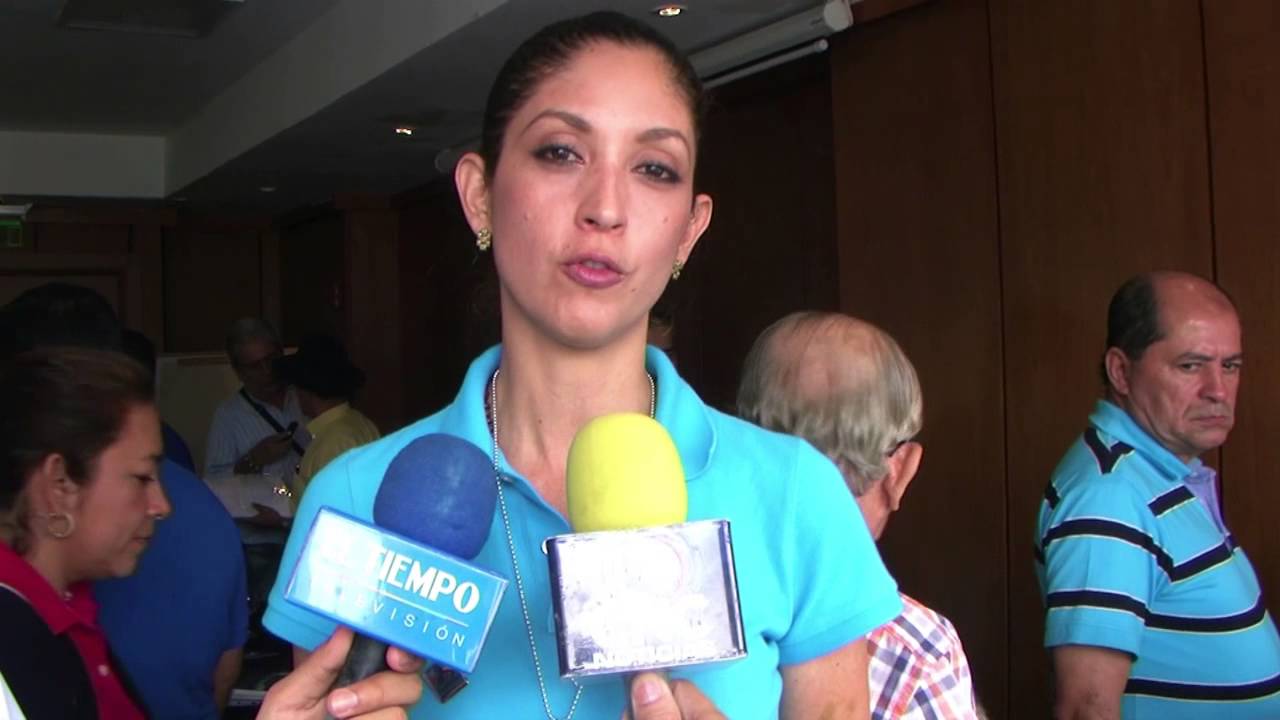 5 Pilares sobre su Campaña - Jennifer Arias Cdta Alcaldia de V/ cio ...