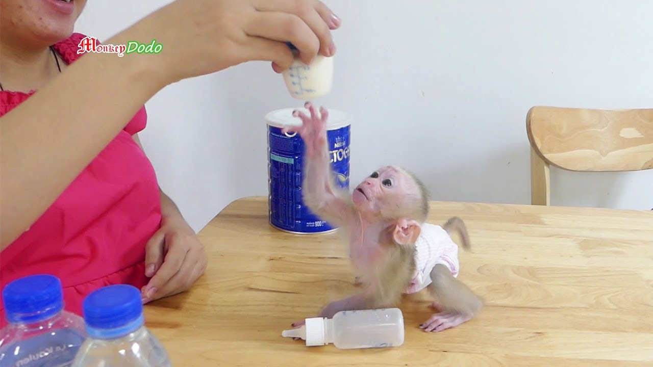 Milk Time Queen Jenna Cannot Wait & Sit Orderly While Mom Mix-Milk ...