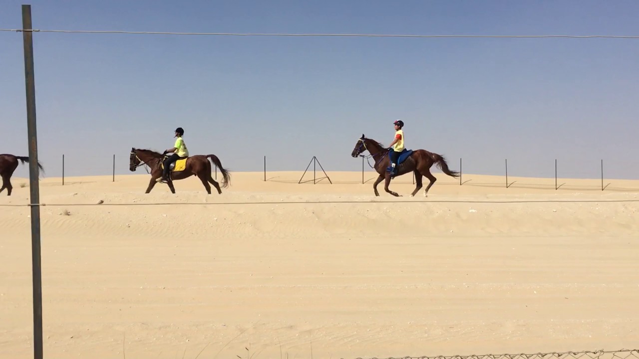 40km qualifier in Dubai endurance village - YouTube