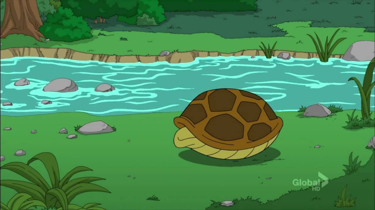 Family Guy (quagmire and a turtle) - YouTube