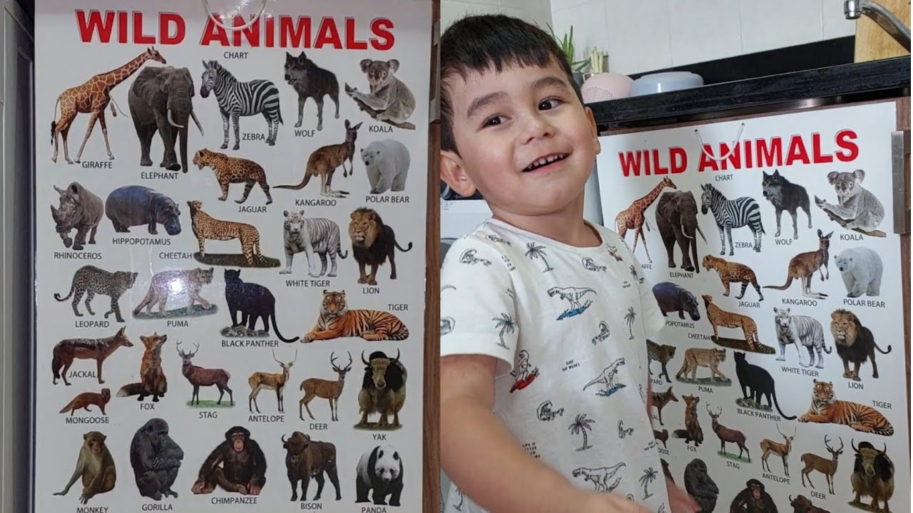 My 2-year-old toddler doesn't know how to read but he knows the names ...