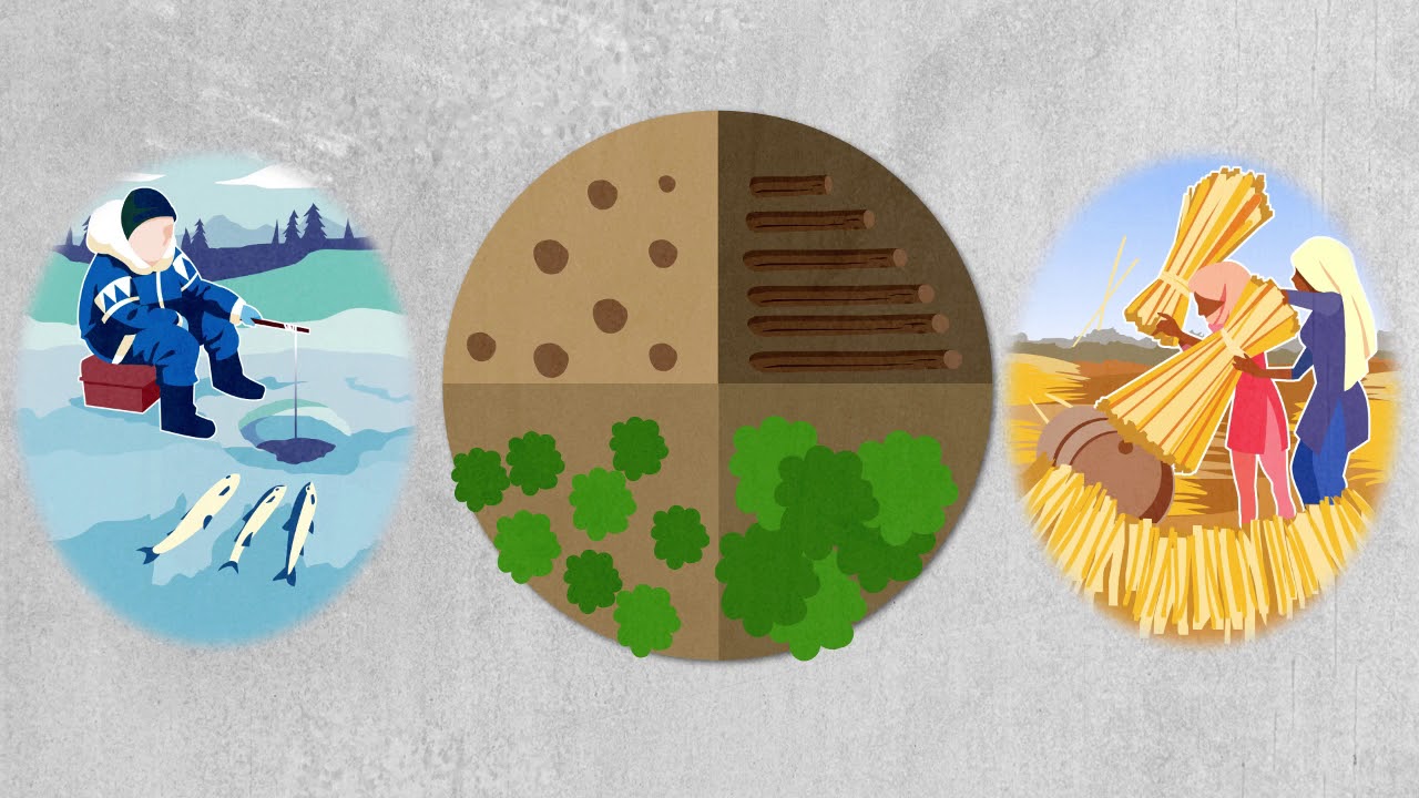 AIPP SDGs Animation Video - YouTube