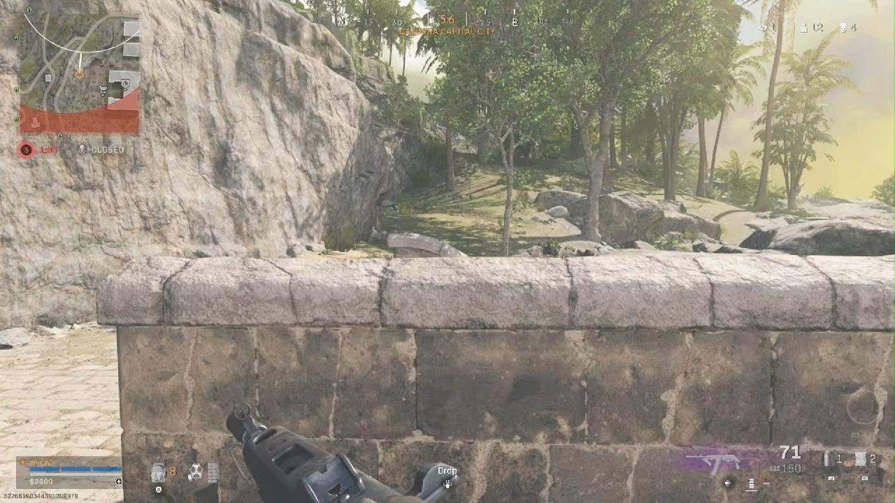 Warzone: bush camping - YouTube