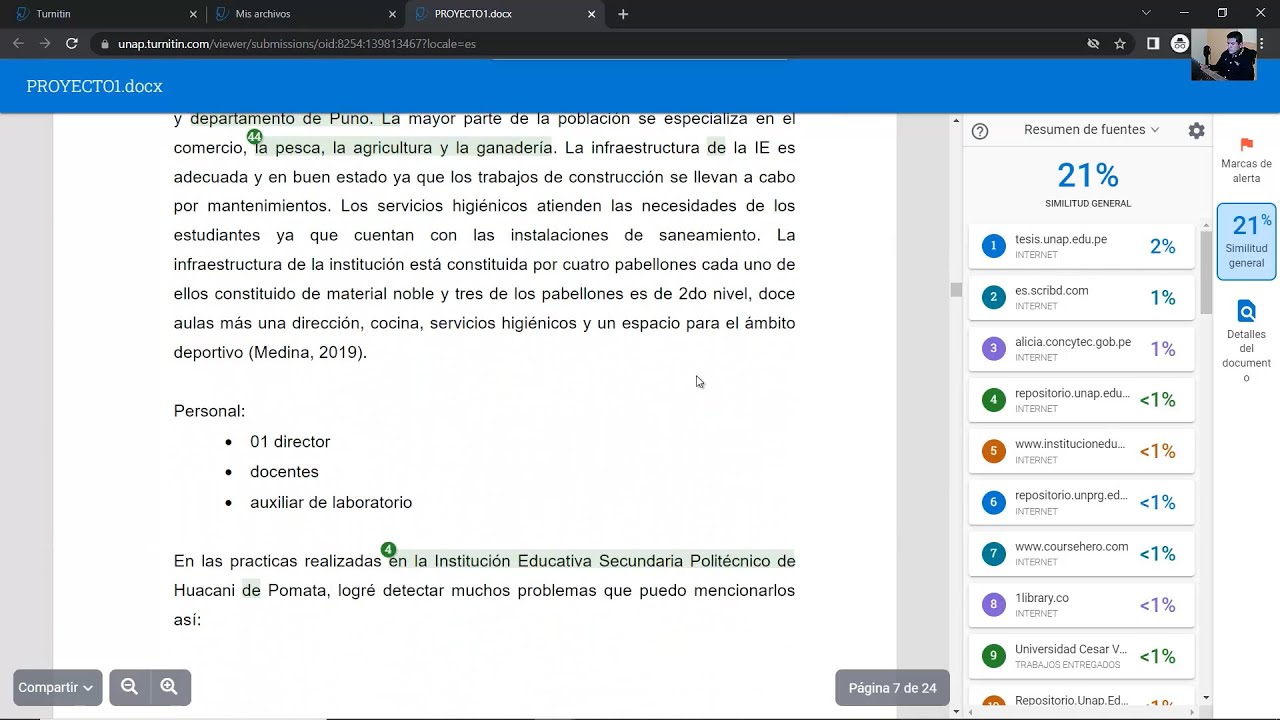 turnitin - Informes de Similitud - YouTube