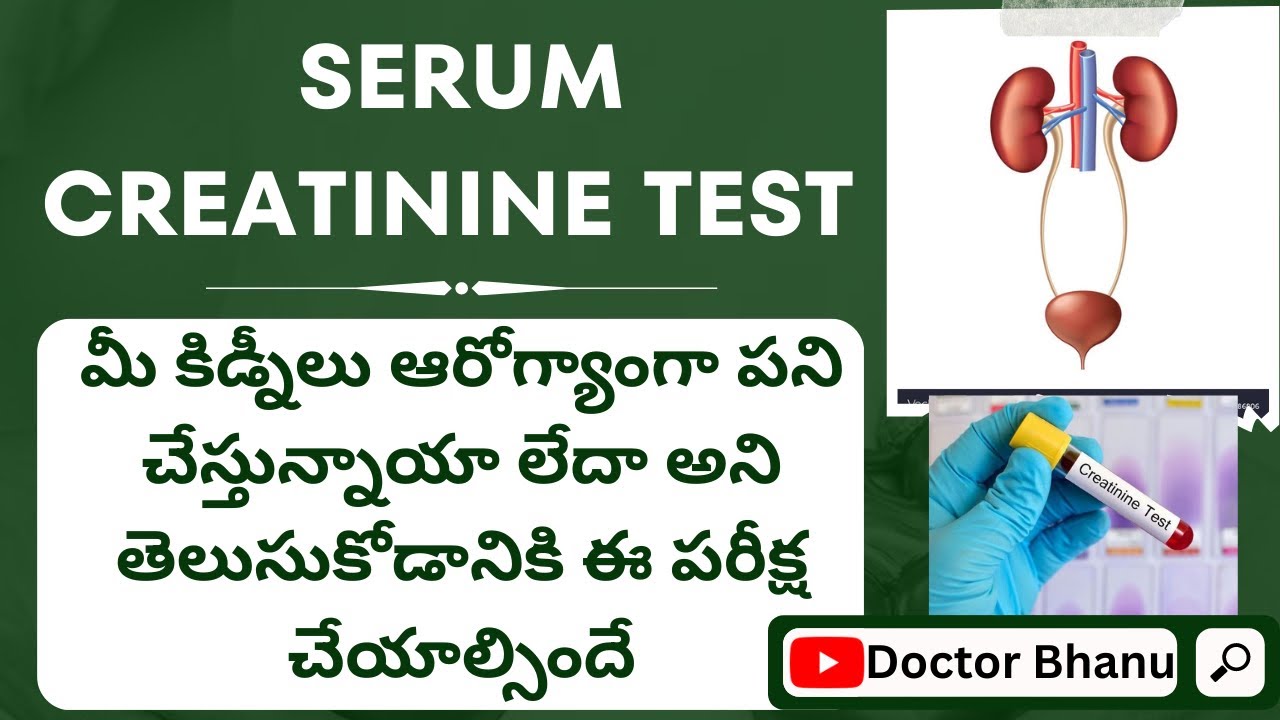 Serum creatinine test || Kidney health || Uses, Cost|| DoctorBhanu ...