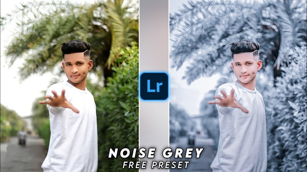 Noise Grey Tone Lightroom Photo Editing | Lightroom Noise Grey Effect ...