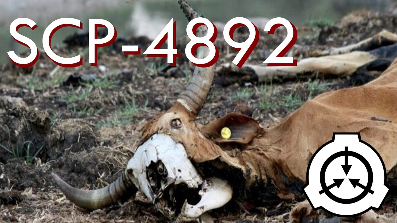 SCP-4892 | The Rotten God | Keter Class - YouTube