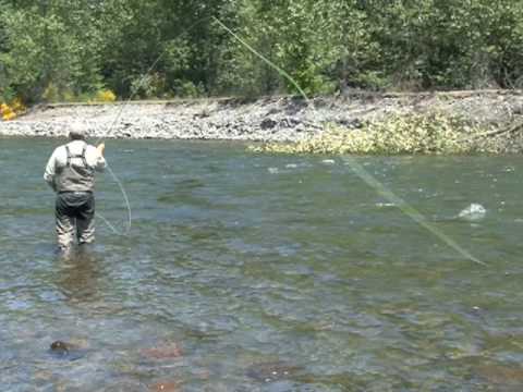 Ambush Fly Lines - YouTube