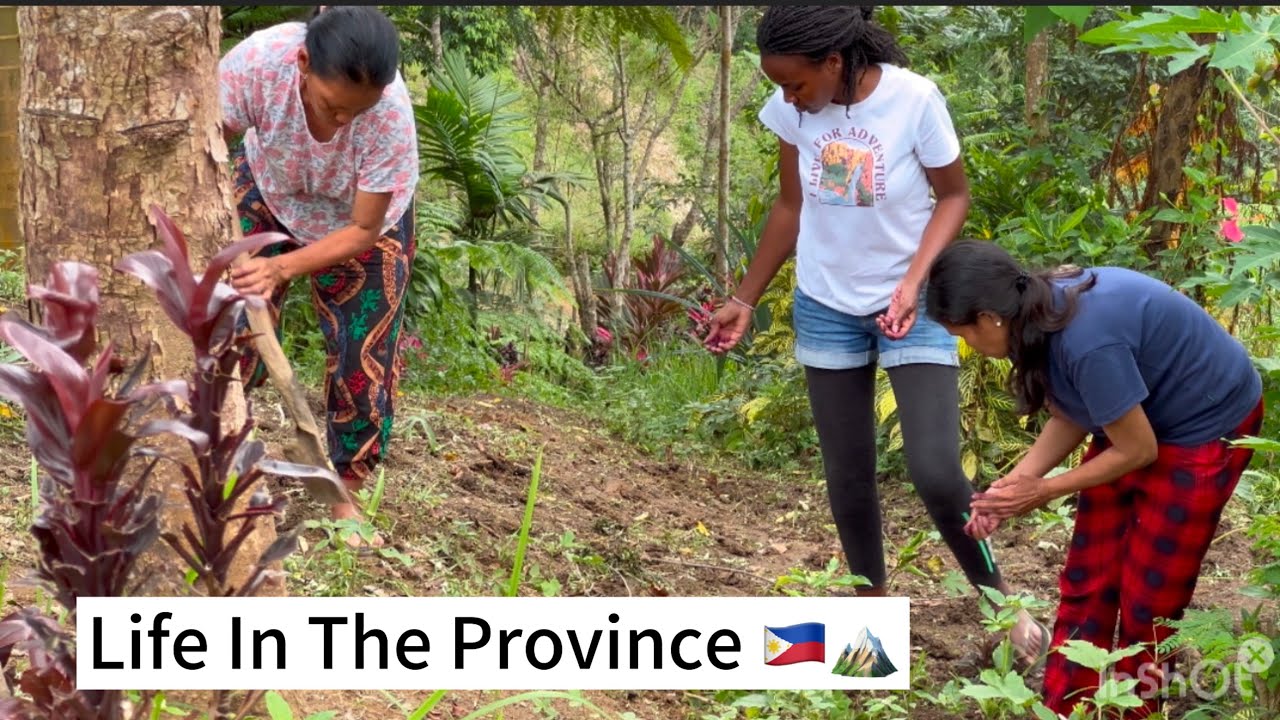 Simple Philippines Province Life In The Mountains || Slow Living - YouTube