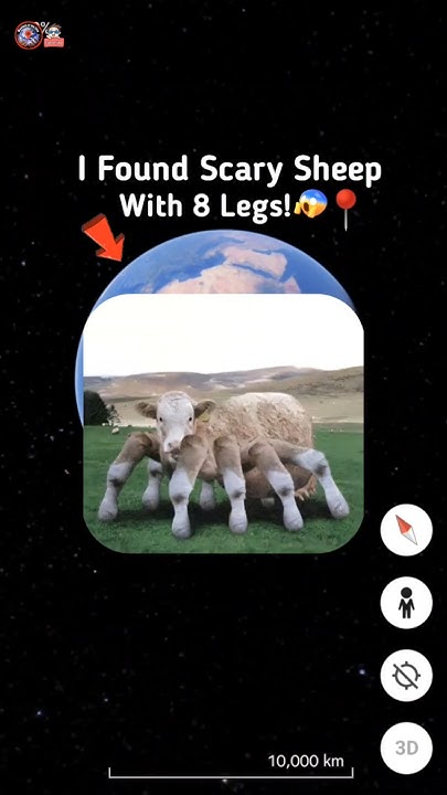 😰 I Found Scary Sheep With 8 Legs On Google Earth and Google Maps! #shorts #googleearth - YouTube