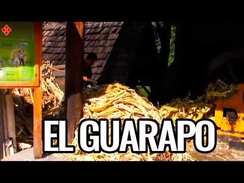 ¿Qué es el Guarapo?, ¿Donde queda Wharapo? - #PascoTurístico - YouTube
