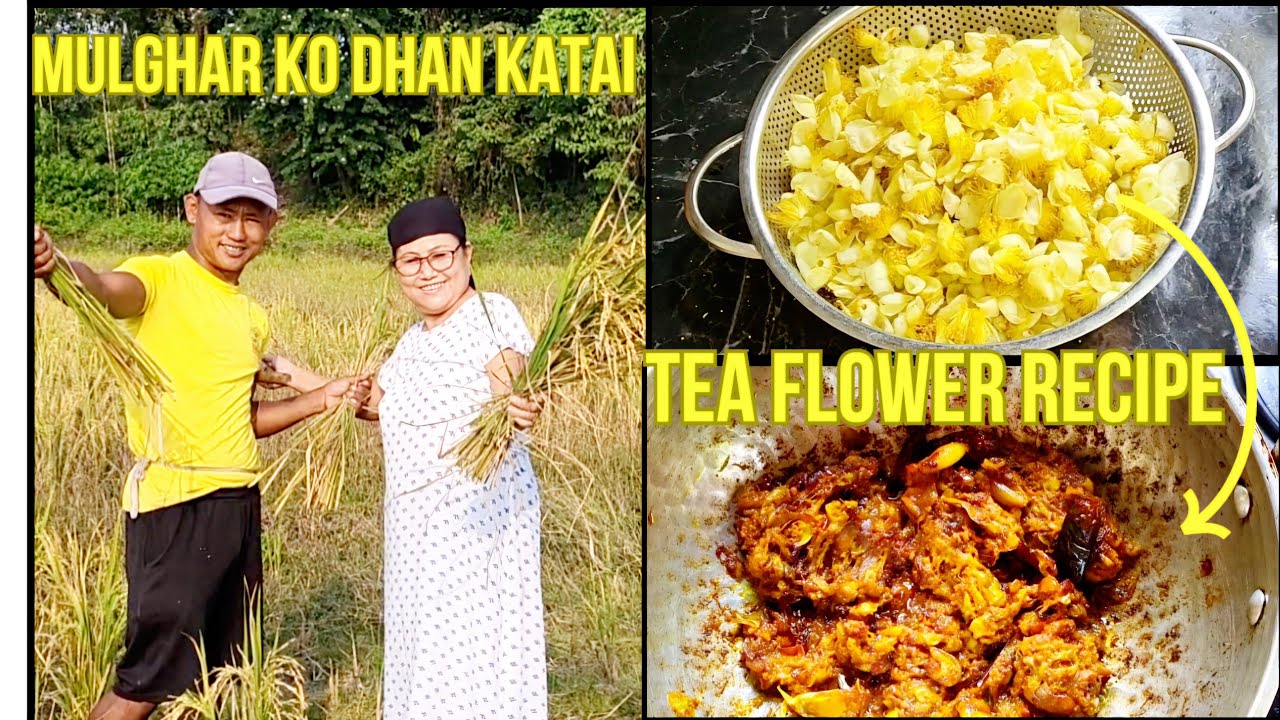 AAJU MULGHAR KO DHAN KATAI HUDAI XA || YO SAAL KO NWAGI CHIYAPATTI PHUL ...