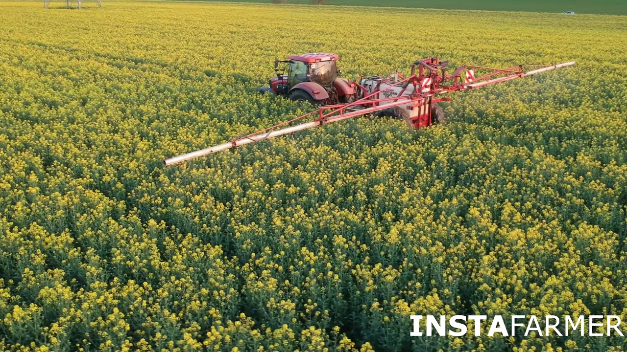 Spraying Canola in spring (Germany) - YouTube