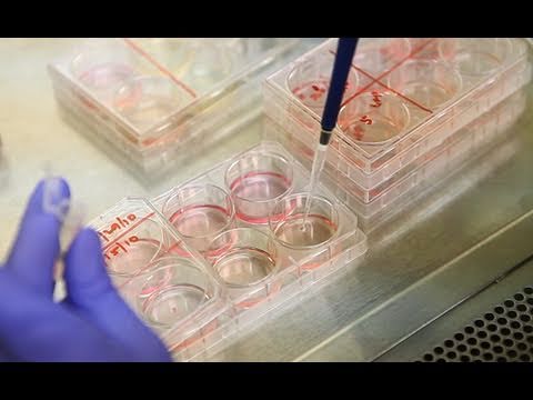Derrick Rossi: Modified RNAs advance stem cell field - YouTube
