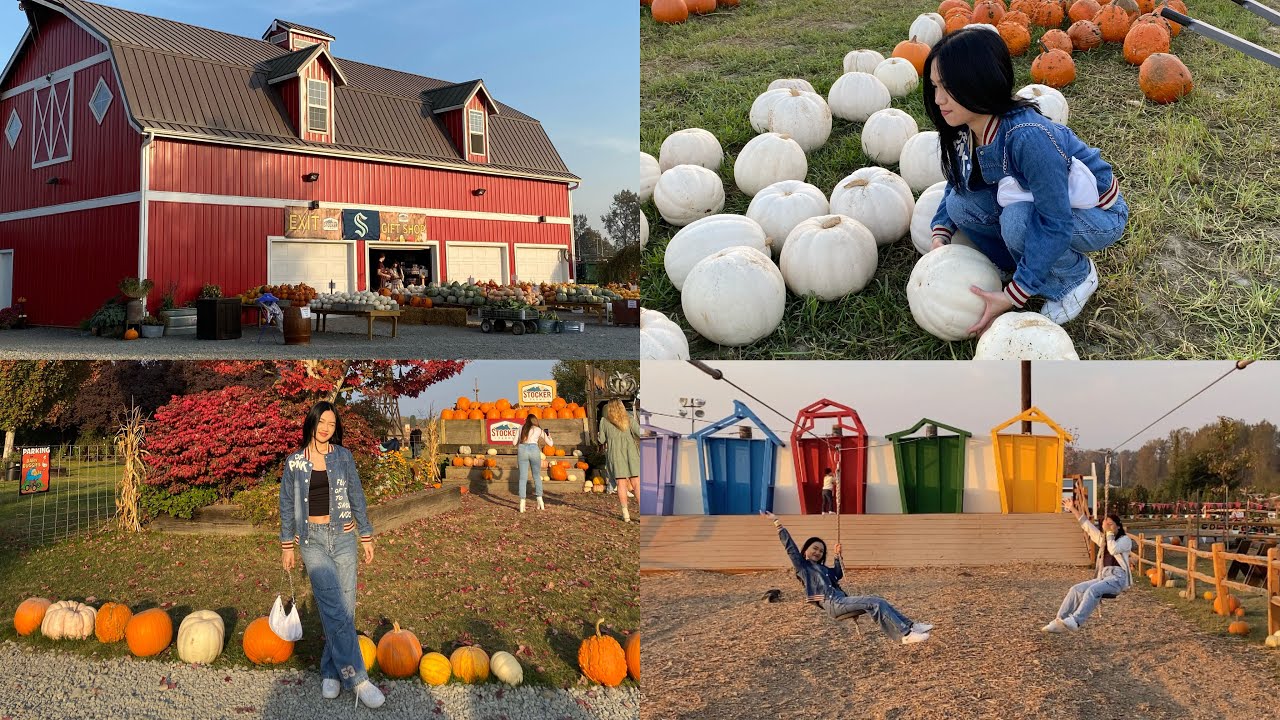 mini vlog: stocker farms, pumpkin patch | aliane kaiyle - YouTube
