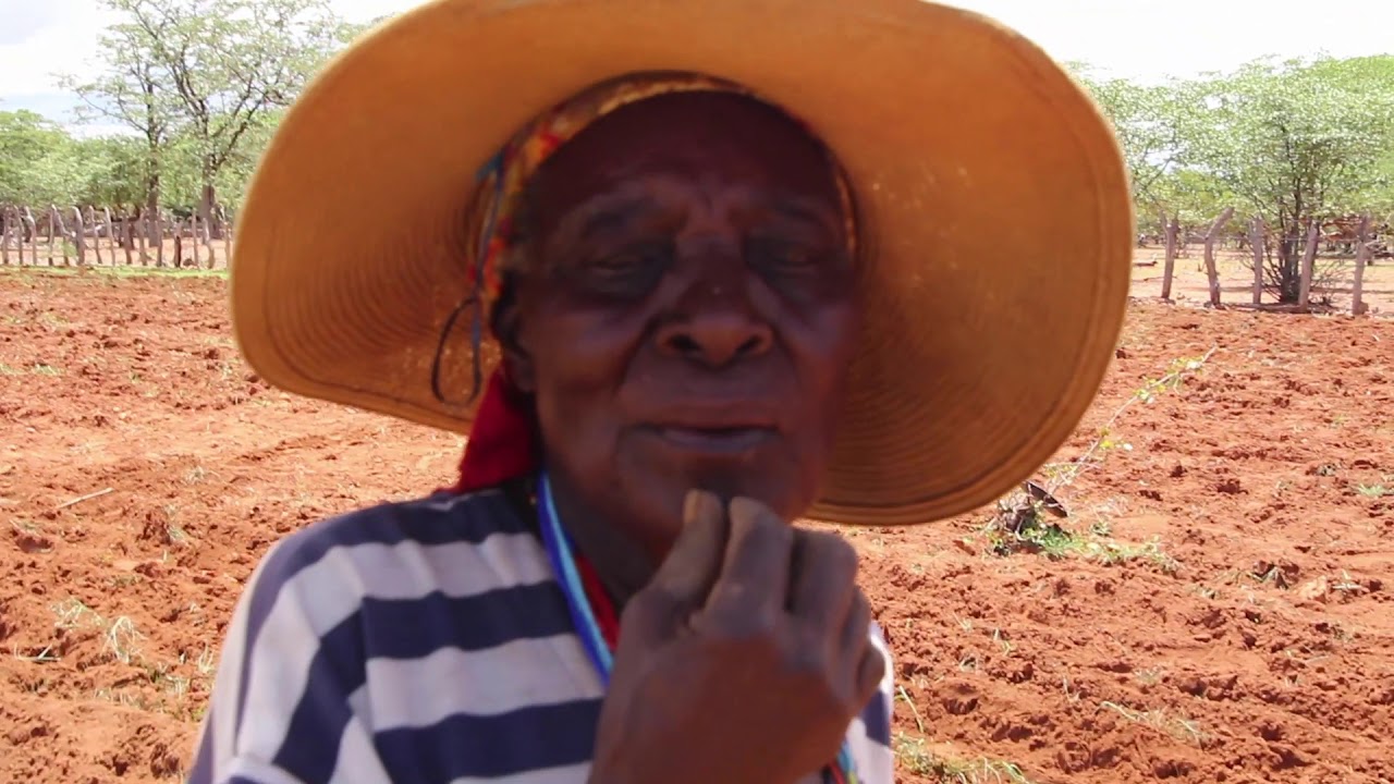 Dhemba, Drought, and Development: Week 2 - YouTube