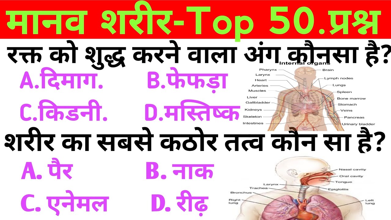Gk special classes||Human body gk questions||# ...