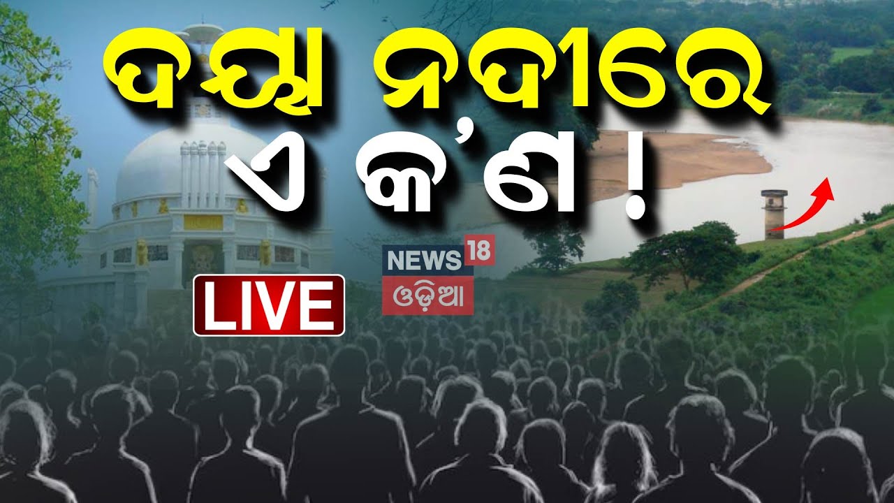Live: ଜହର ପାଲଟିଛି ଦୟା ନଦୀର ଜଳ | Daya River Pollution | Bhubaneswar News ...