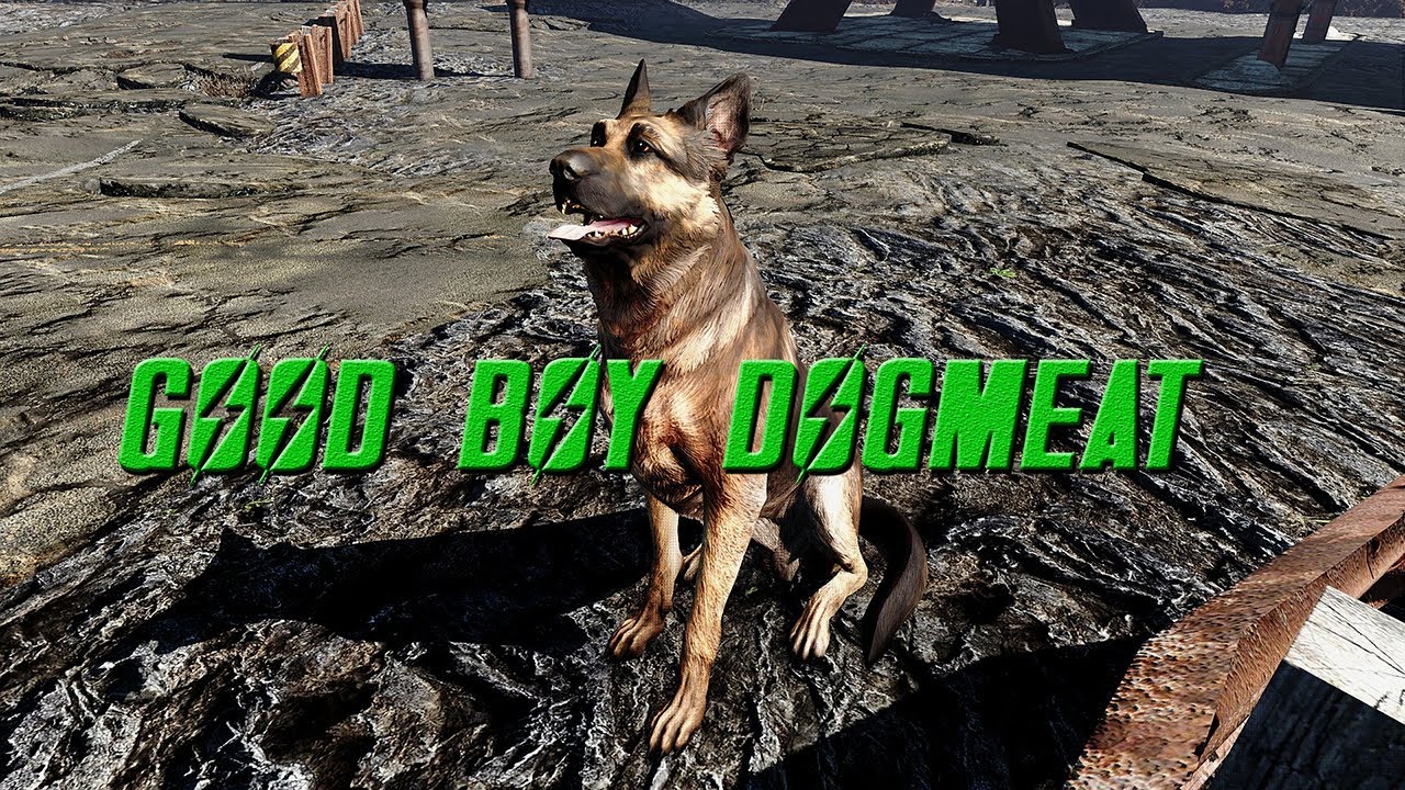 Fallout 4 Mod Spotlight: Good Boy Dogmeat - YouTube