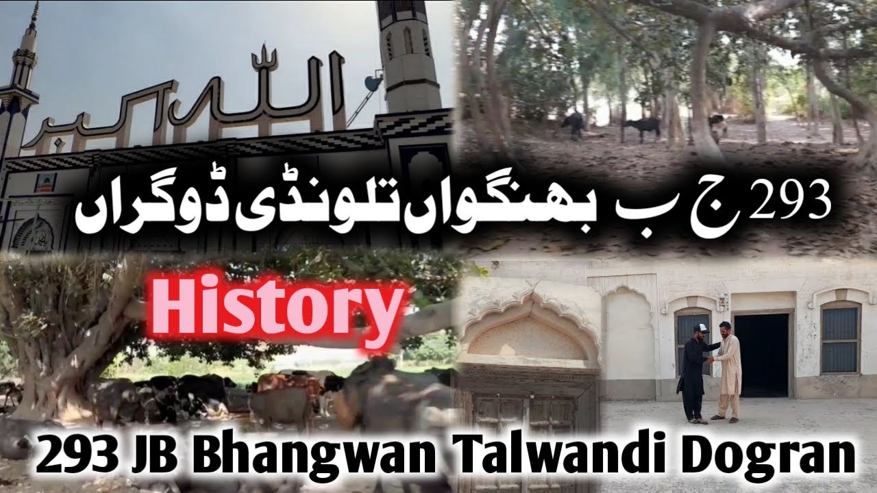 293 jb Bhangwan, 293 JB Talwandi Dogran, Toba Tek Singh, Pakistan ...