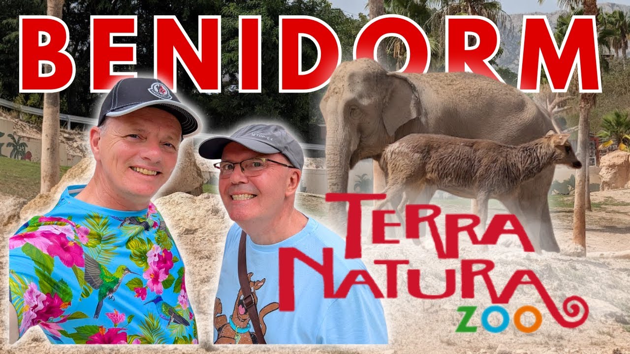 WILD TIME AT Benidorm ZOO - YouTube