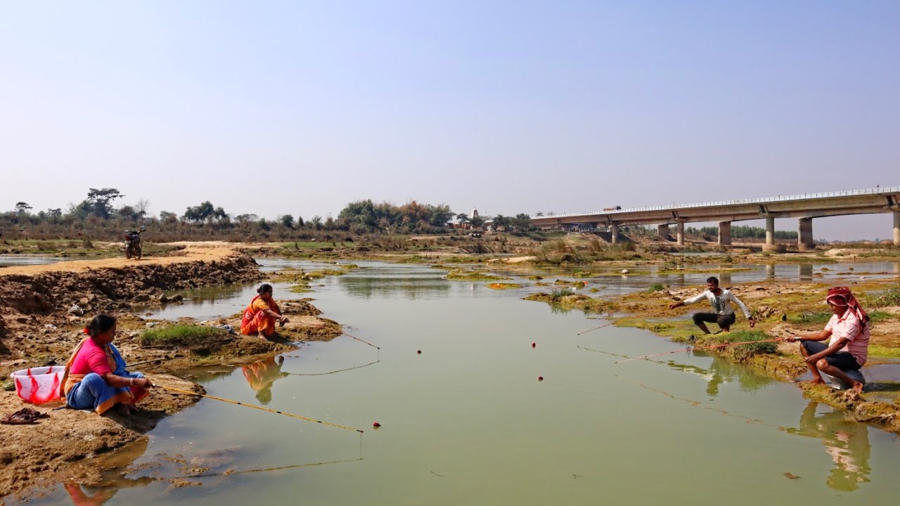 Fishing Video | Village man lady & catching different species of fish ...