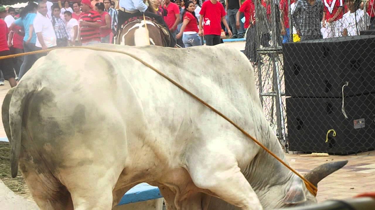 Embalce de bravos toros 2014 Chacaltianguis, Veracruz, Mexico. - YouTube