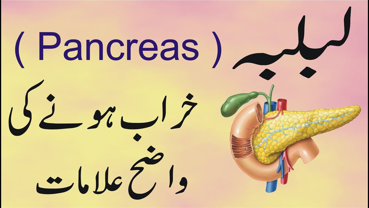 Pancreas ki kharabi ki alamat / Signs & symptoms Pancreas in trouble ...