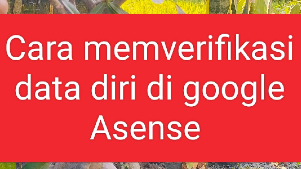 Cara memverifikasi data diri di google Asense dengan mudah pasti ...