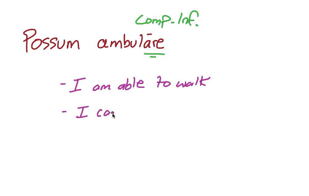 Complementary Infinitive pg 114 - YouTube