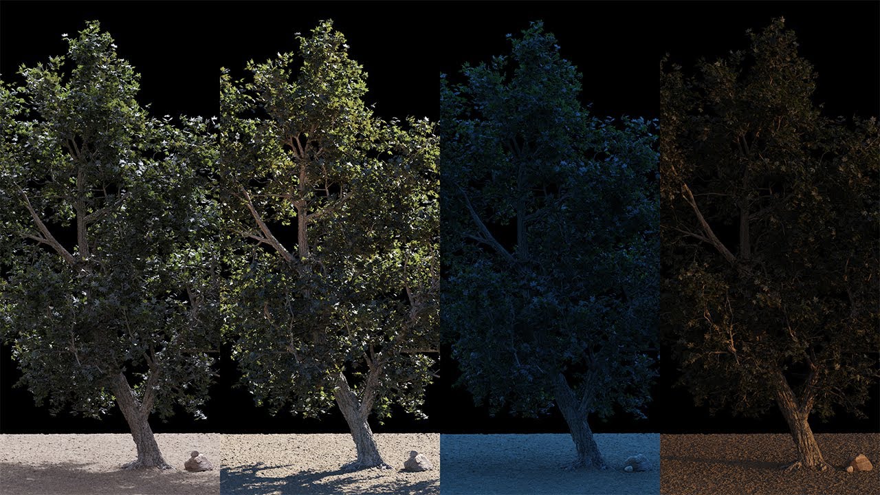 Tree animation with different lighting scenarios in VRay 5 - YouTube