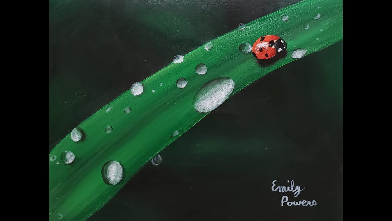 How To Paint A Ladybug & Water Drops - YouTube