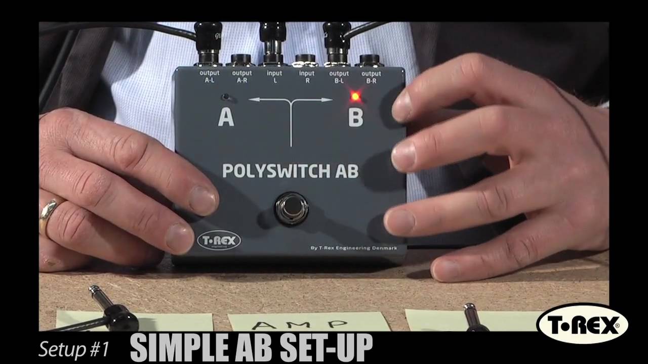 T-Rex Polyswitch.mov - YouTube