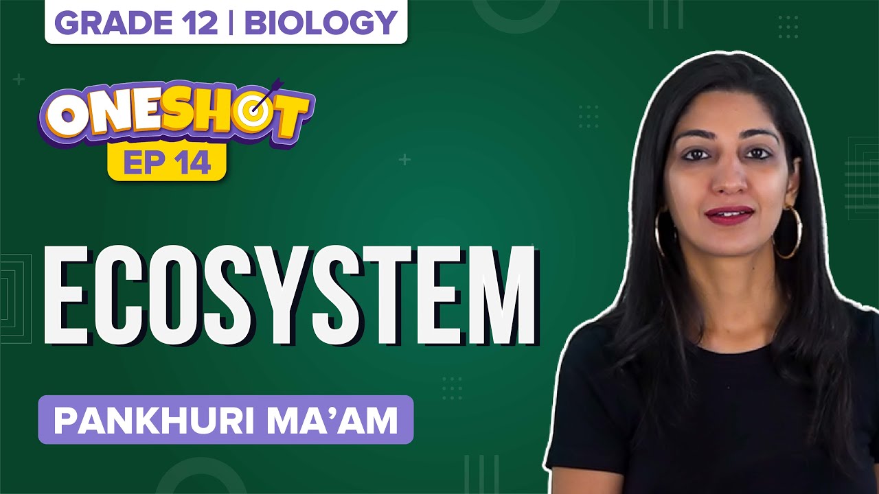 Biotic and Abiotic Factors of Ecosystem Class 12 Biology One Shot ...