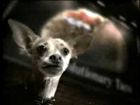 Taco Bell Dog Gidget ???? - 2009 - YouTube