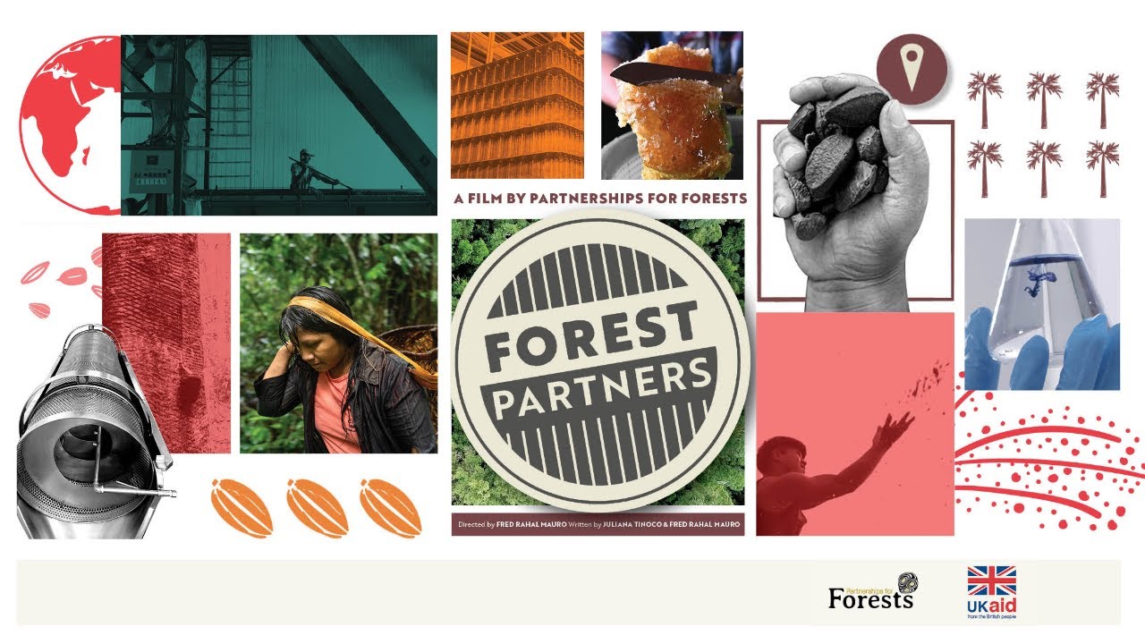 Forest Partners | Trailer - YouTube