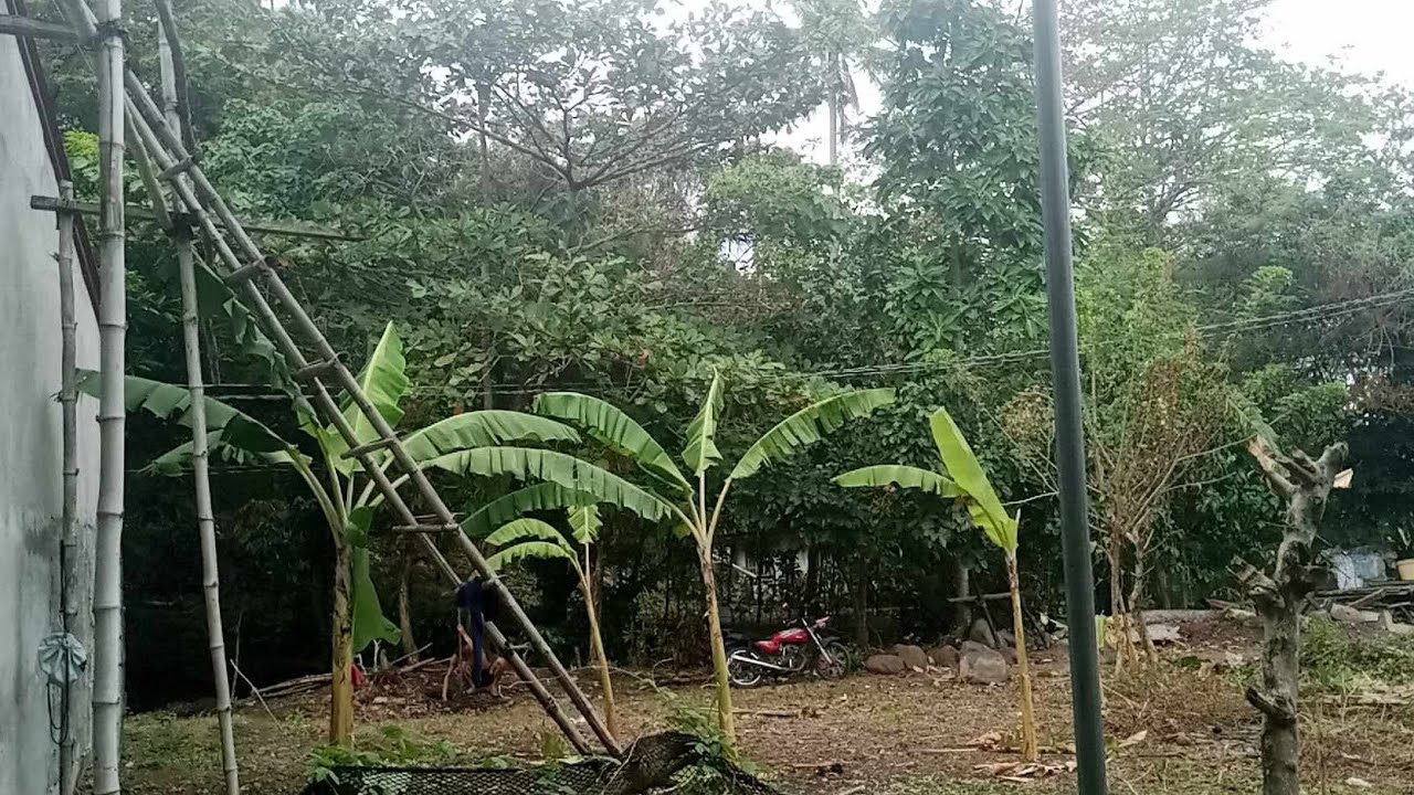 Pangarap ng mga ofw. sariling bahay at lupa. - YouTube