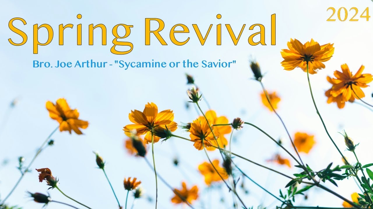 May 15, 2024 - "The Sycamine or the Savior" - YouTube