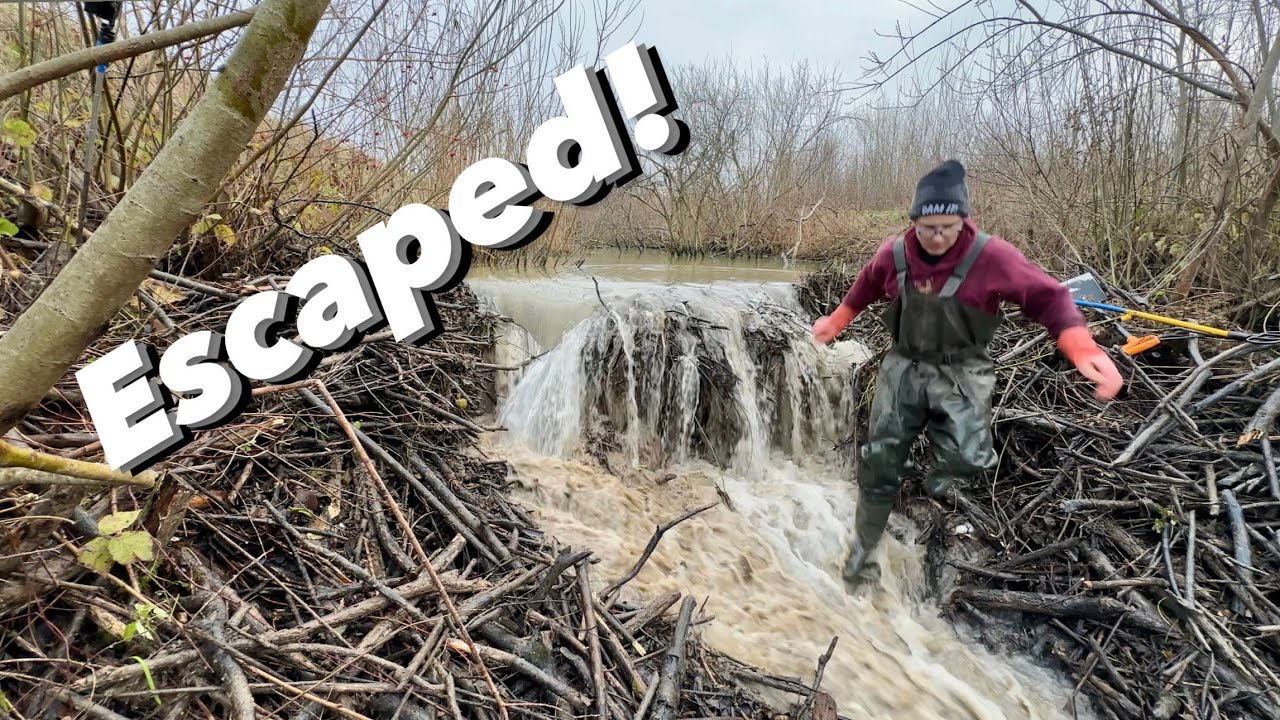 Just in Time To Escape BEAVER DAM Collapse! - YouTube